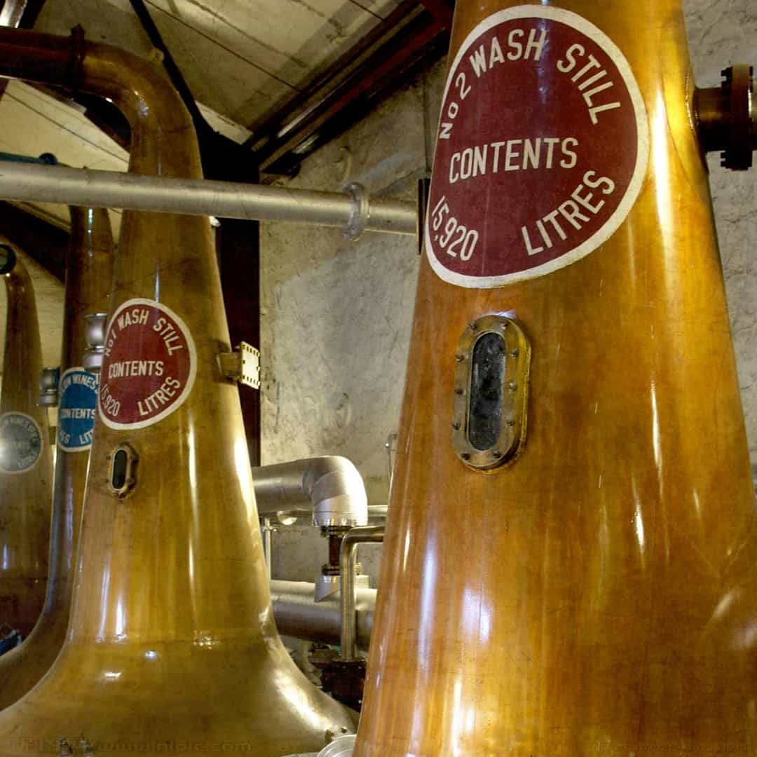 Exploring the History and Distilling Process of the Old Bushmills ...