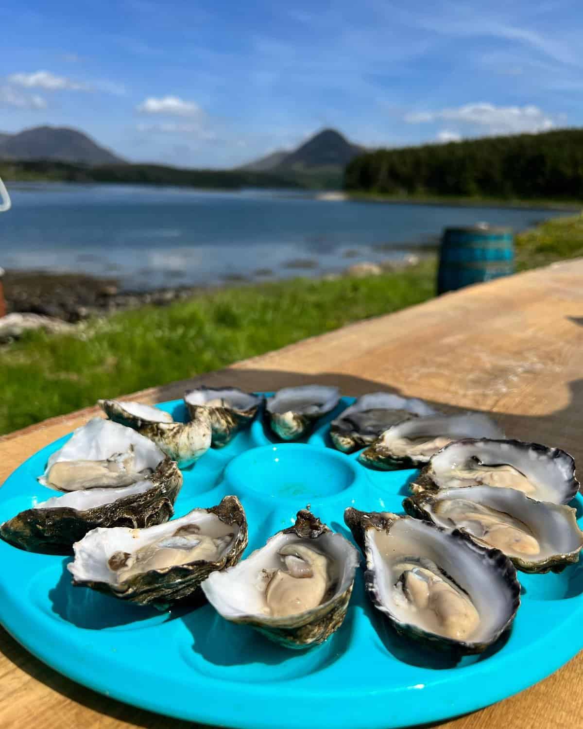 Discover the Best Traditional Northern Irish Food: A Culinary Journey ...