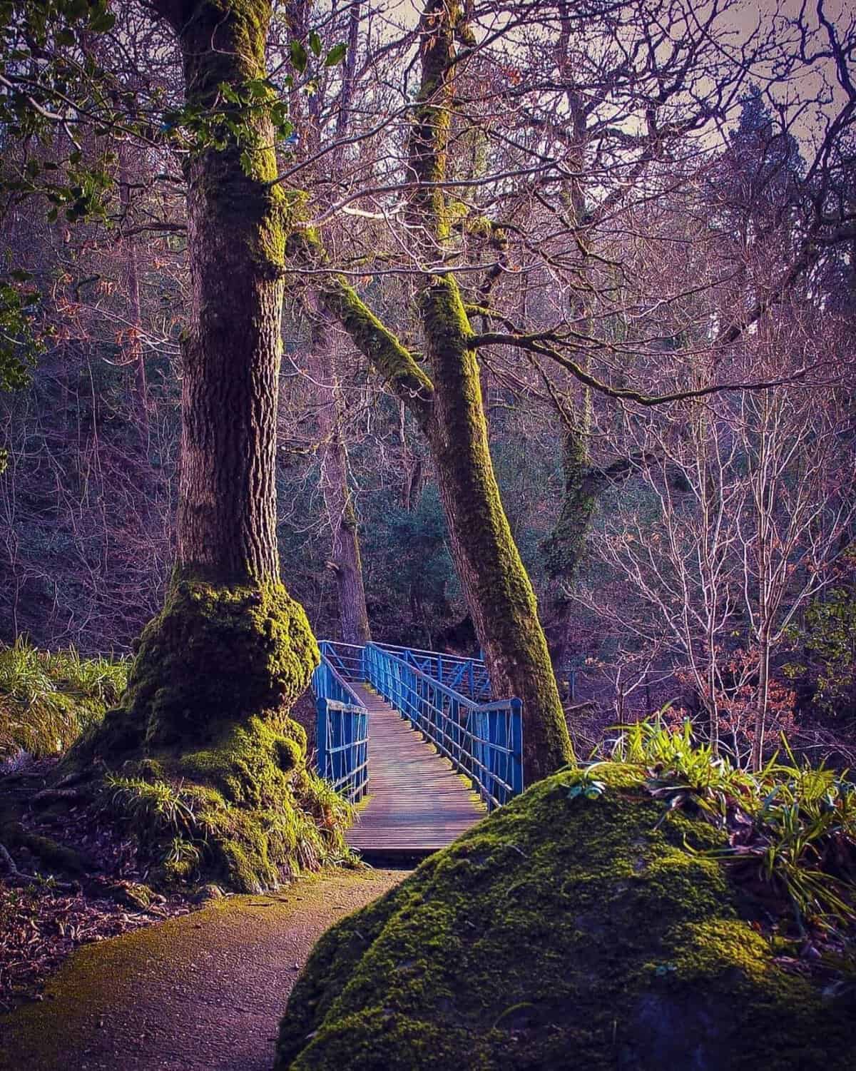 Discover Limavady: Top Attractions and Activities in Northern Ireland