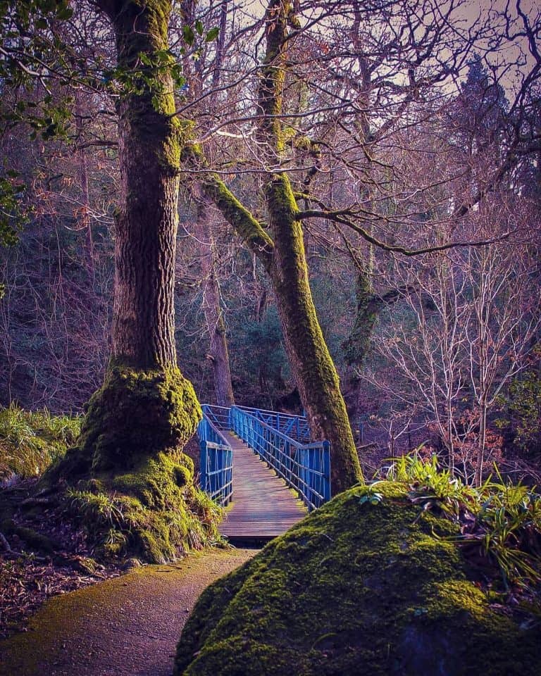 Discover Limavady: Top Attractions and Activities in Northern Ireland